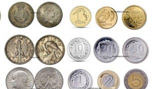 Benvenuti Sul Più Grande Portale Italiano delle Monete Rare